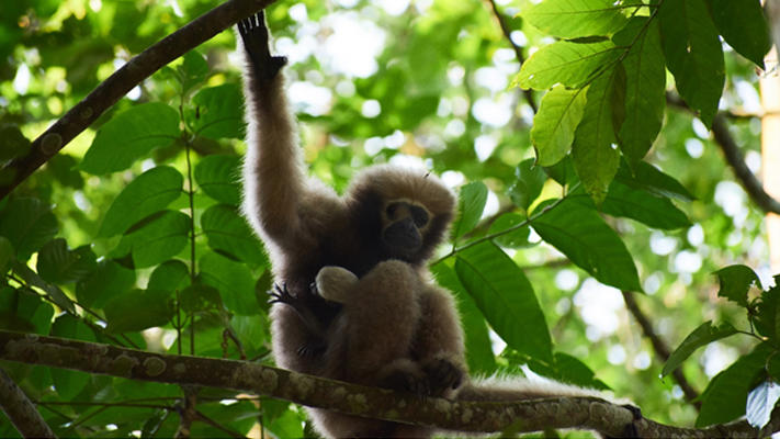 INDIA'S HIDDEN TREASURES: UNIQUE NATURE EXPERIENCES YOU MUST EXPLORE