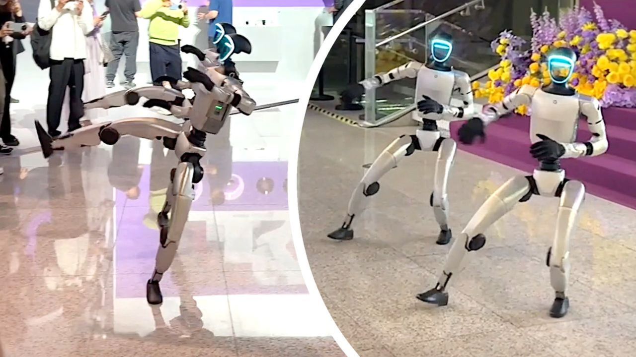 Kung fu robots dazzle crowds with martial arts skills in China