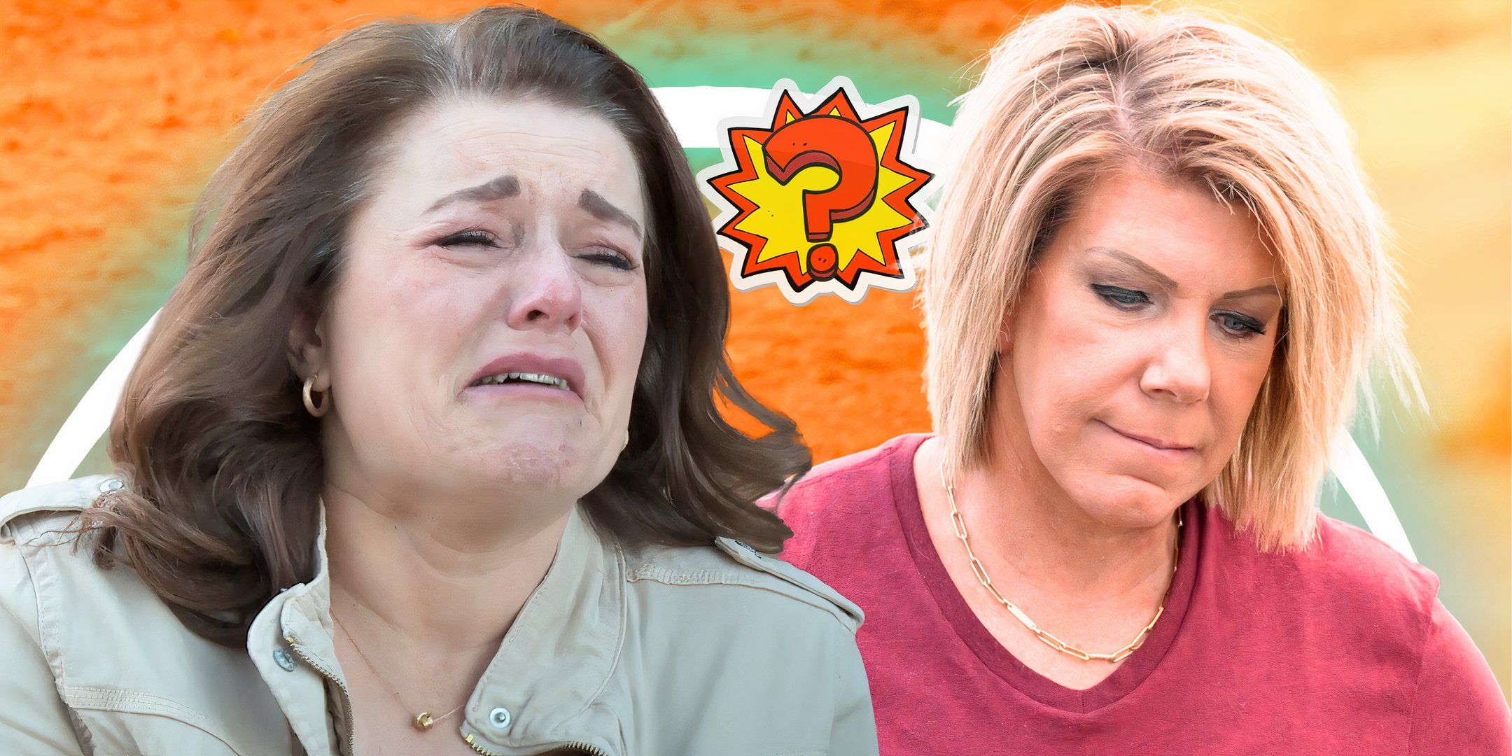 Sister Wives Star Robyn Brown's Estranged From Meri (Does Robyn Have ...