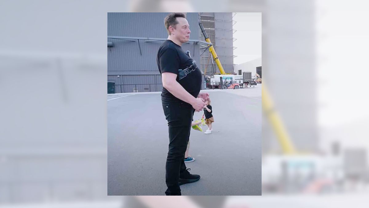 Musk photo slightly doctored to enlarge chest and gut size