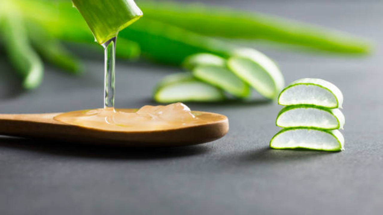 How to use Aloe Vera Curd pack for glossy thick hair