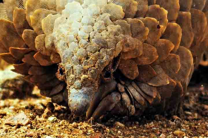 The hidden meaning behind Rome's famous arch monuments