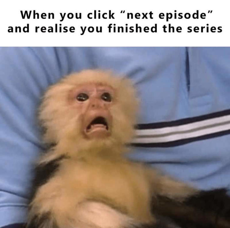 50 Funny Gorilla And Ape Memes To Go Bananas Over