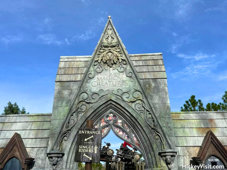 10 Surprising Facts About Universal Orlando's Most Popular Attraction