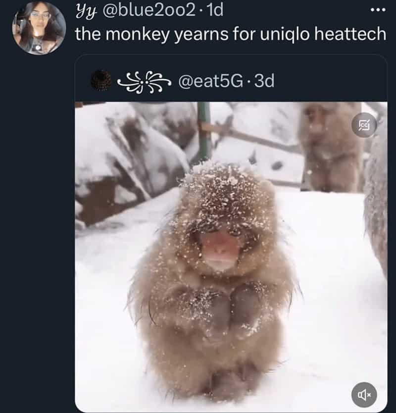 50 Funny Gorilla And Ape Memes To Go Bananas Over