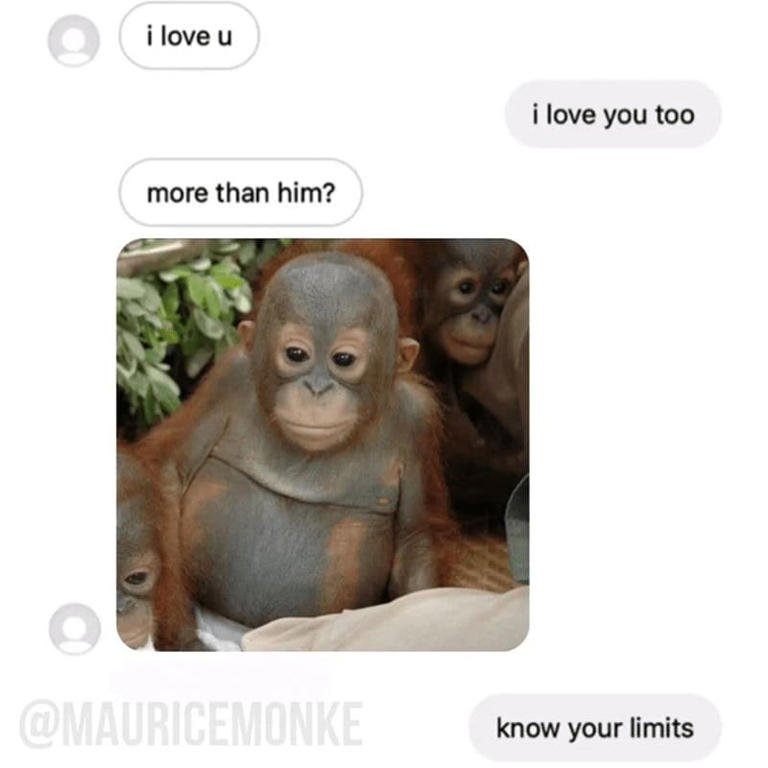 50 Funny Gorilla And Ape Memes To Go Bananas Over