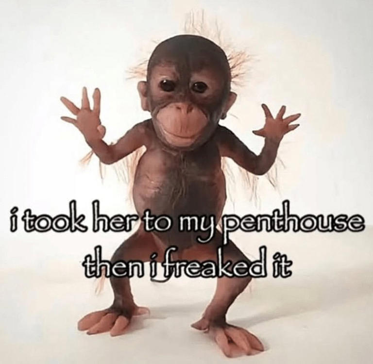50 Funny Gorilla And Ape Memes To Go Bananas Over