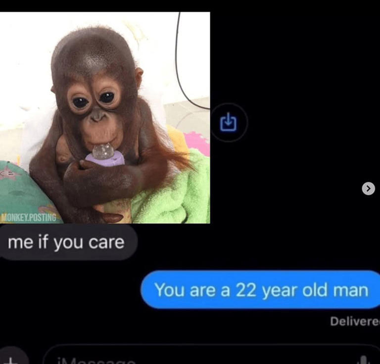 50 Funny Gorilla And Ape Memes To Go Bananas Over