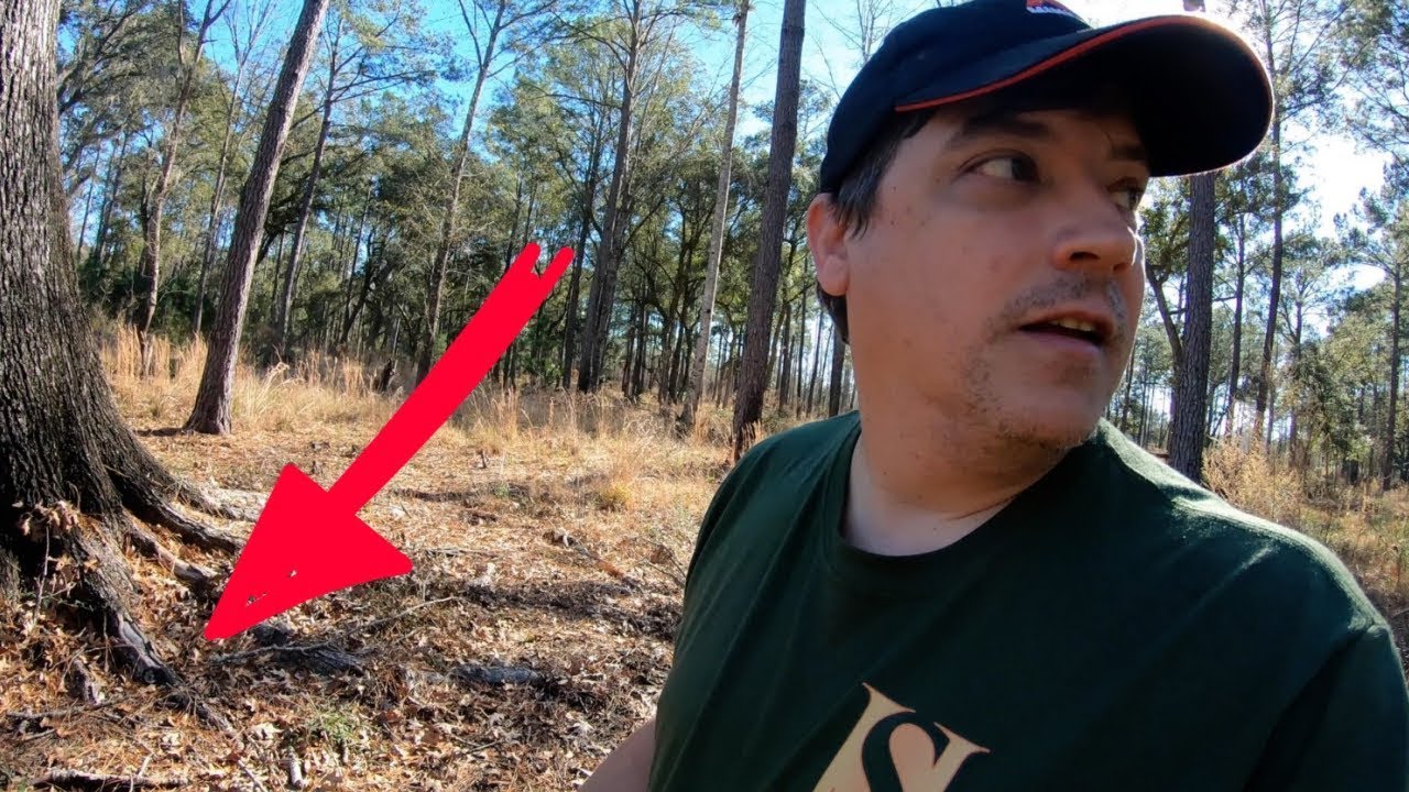 Historic 1700s militia flintlock & colonial coins unearthed in South ...