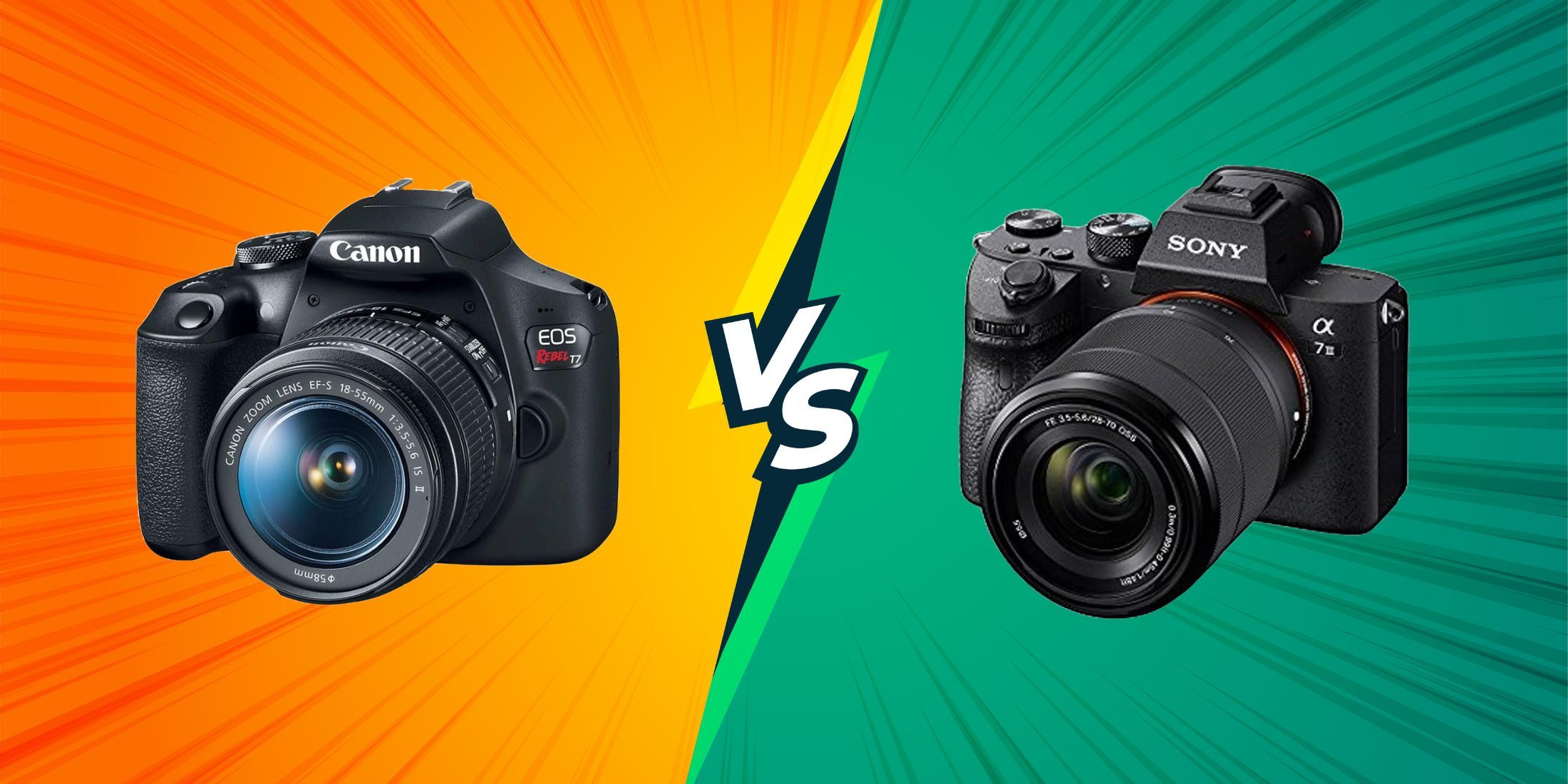 What Is The Difference Between DSLR And Mirrorless Cameras?