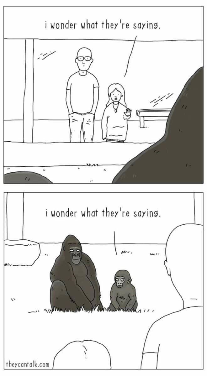 50 Funny Gorilla And Ape Memes To Go Bananas Over