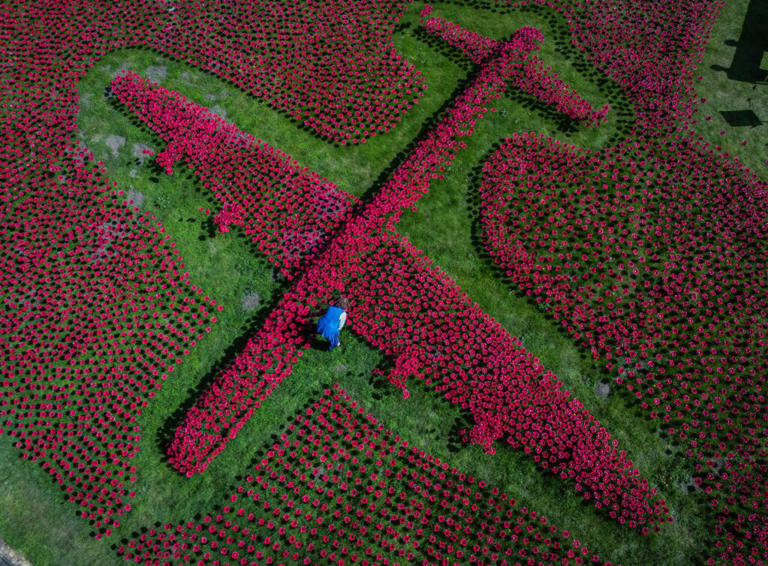 20,000 Handmade Ceramic Poppies Shaped Into a Lancaster Bomber