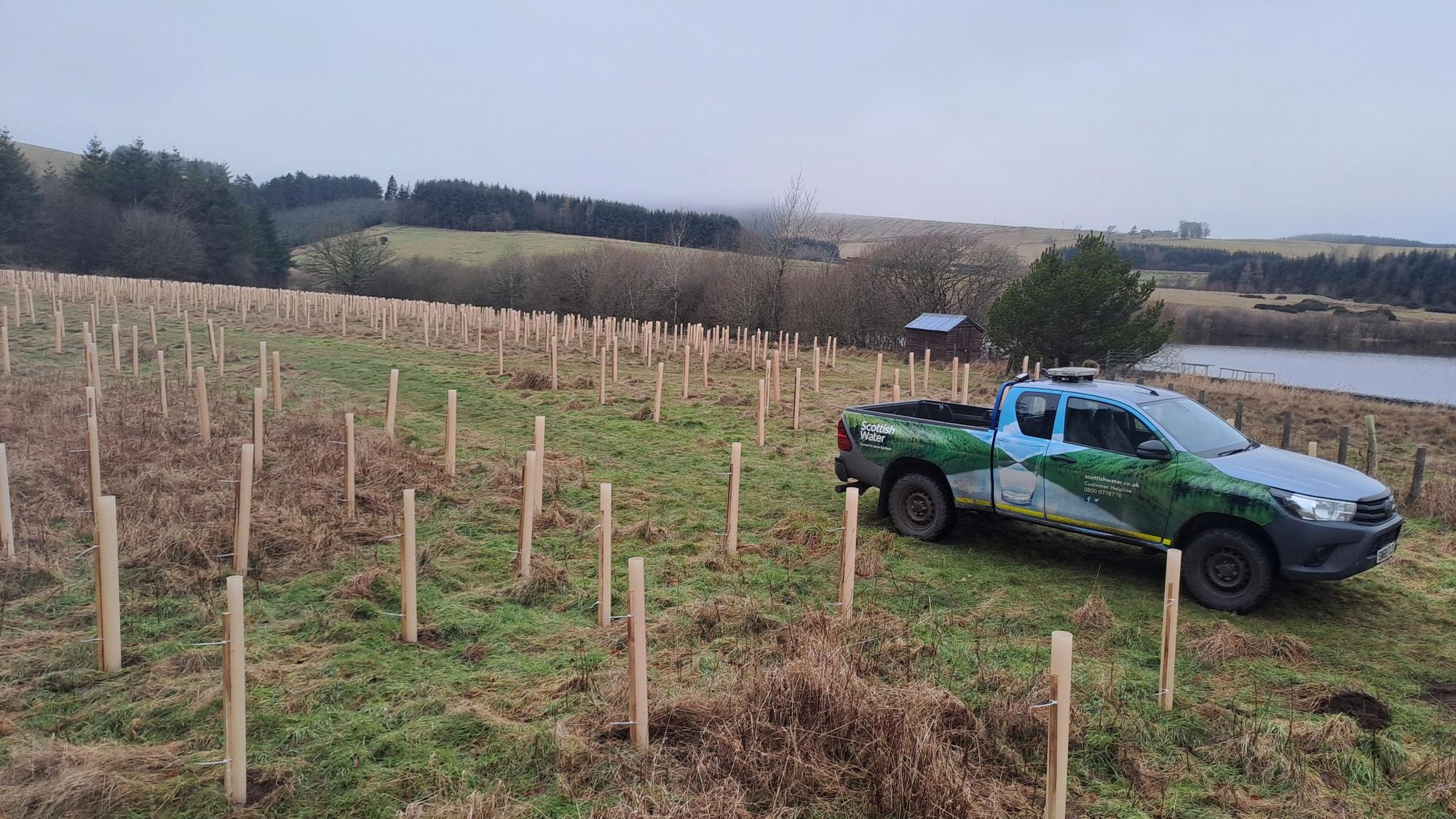 Trees planted around Fife reservoir that serves thousands of people