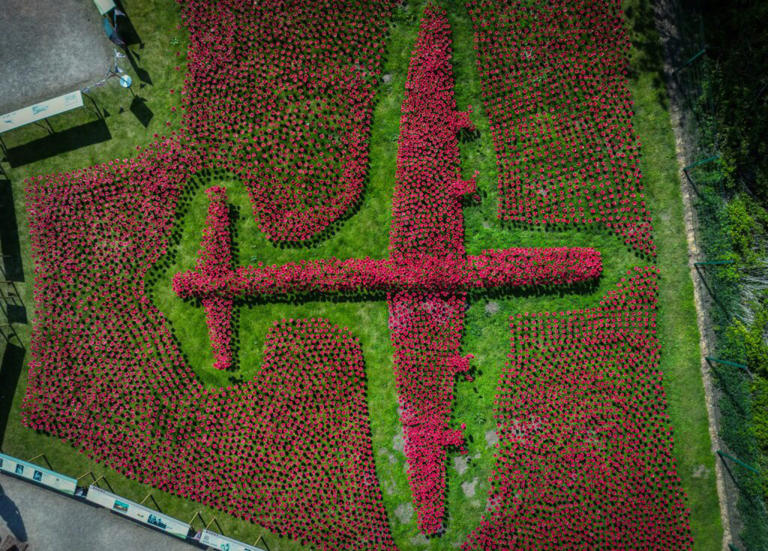 20,000 Handmade Ceramic Poppies Shaped Into a Lancaster Bomber
