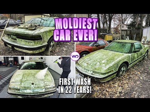 Moldiest Reatta ever gets first clean in 22 years