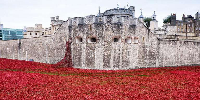 Thousands of poppies return to the Tower of London to mark 80 years ...