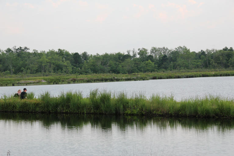 Who are these two people? Pine Barrens author seeks to identify mystery ...