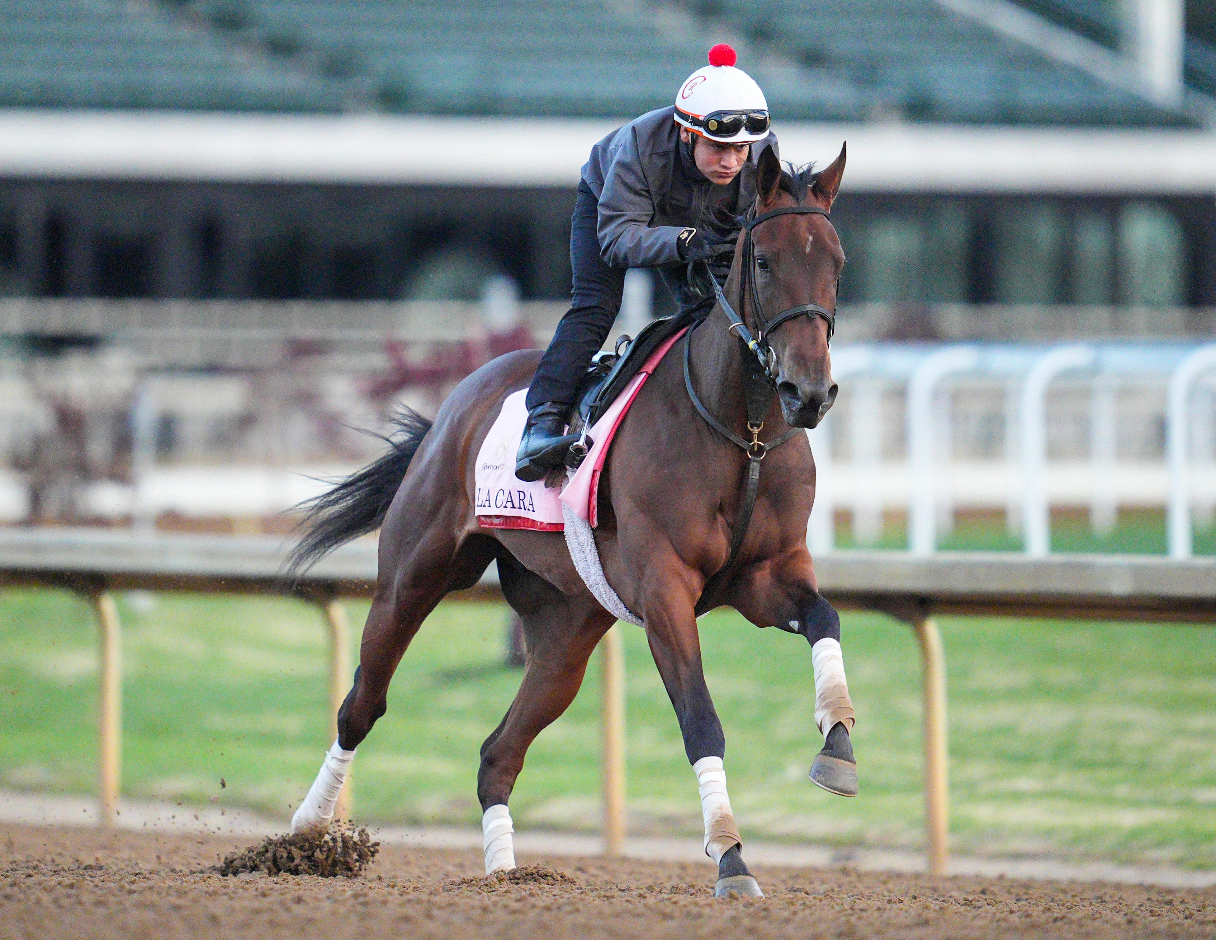 Which horses will run in 2025 Kentucky Oaks? Odds, contenders ...