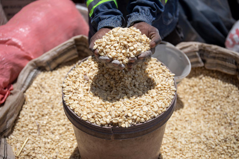 Africa’s traditional fermented foods – and why we should keep consuming ...