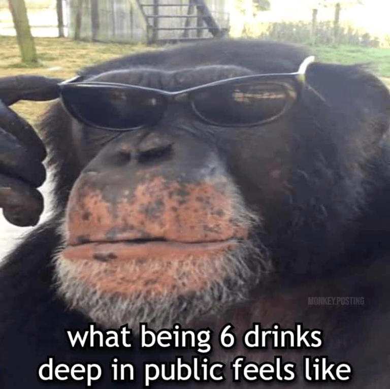 50 Funny Gorilla And Ape Memes To Go Bananas Over