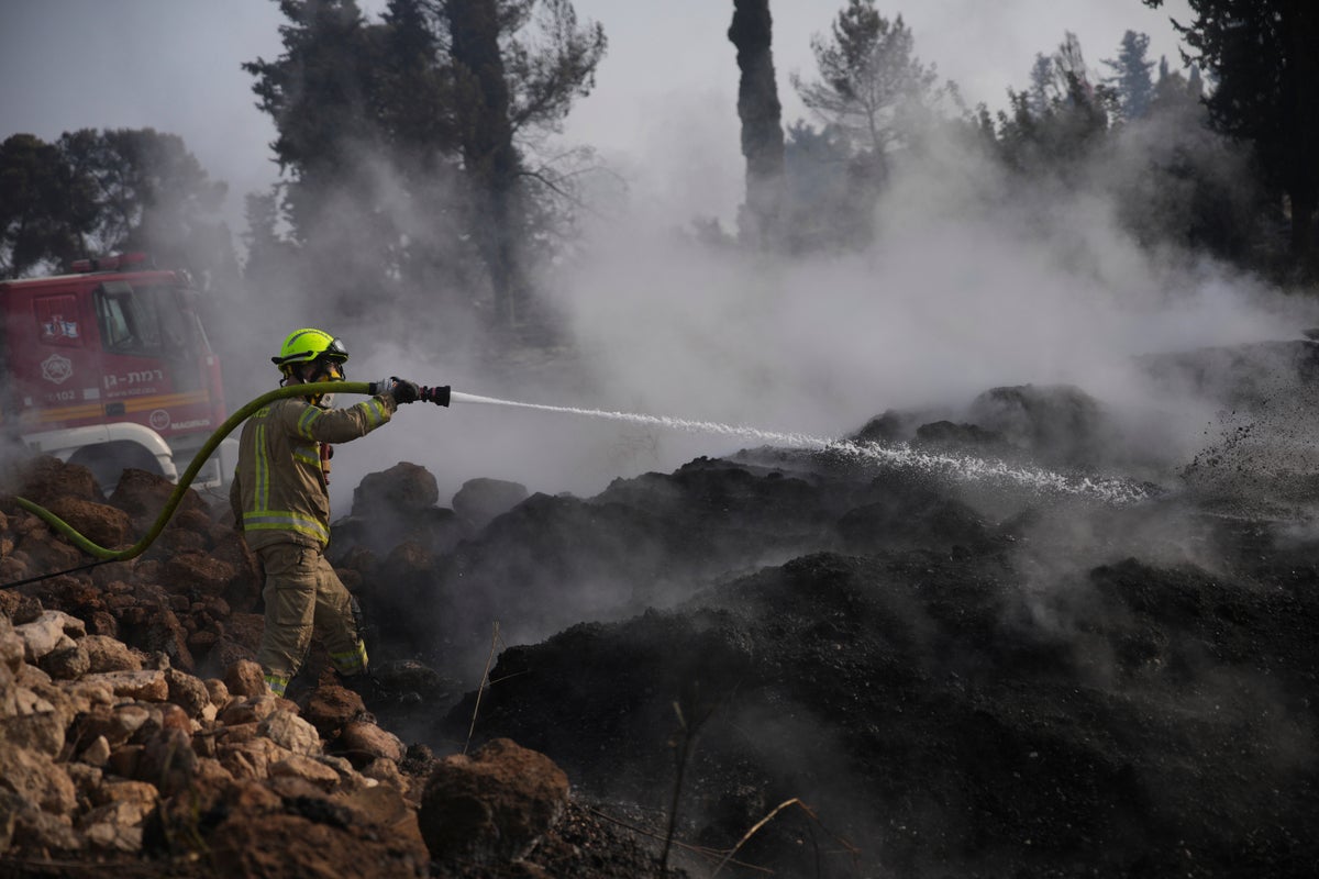 What caused the Israel wildfires? At least 18 suspects arrested over ...