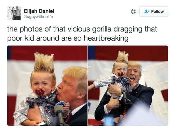 50 Funny Gorilla And Ape Memes To Go Bananas Over