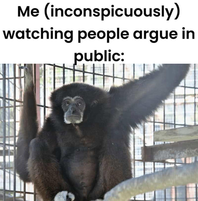 50 Funny Gorilla And Ape Memes To Go Bananas Over