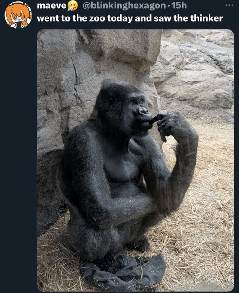 50 Funny Gorilla And Ape Memes To Go Bananas Over