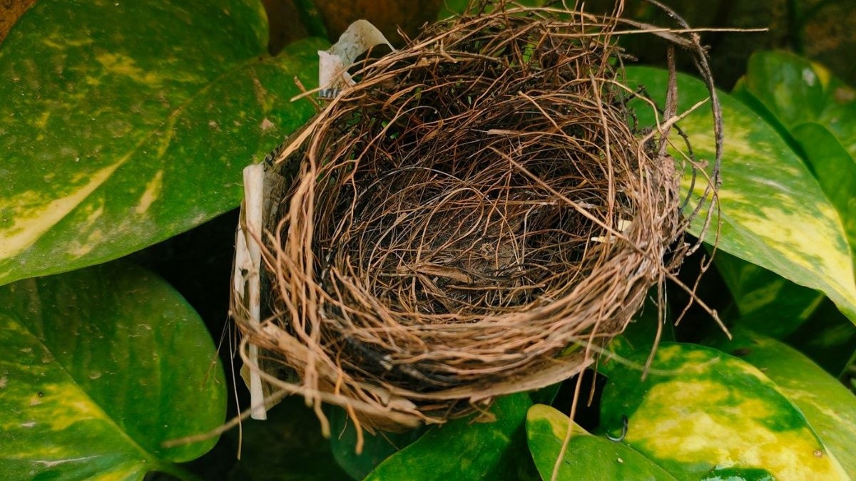 How to Survive the Empty Nest Stage as a Couple, When the Kids Are Gone