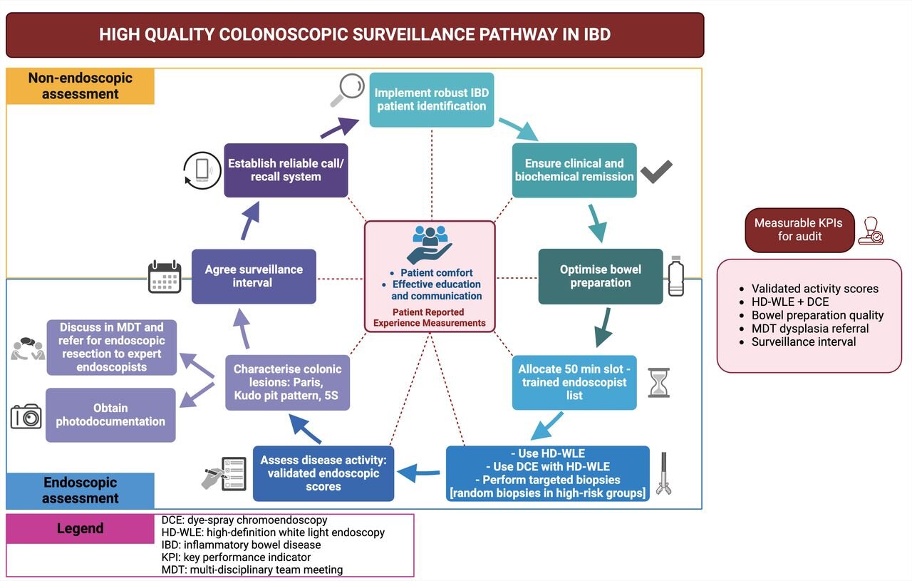 New guidelines for monitoring IBD patients to prevent bowel cancer