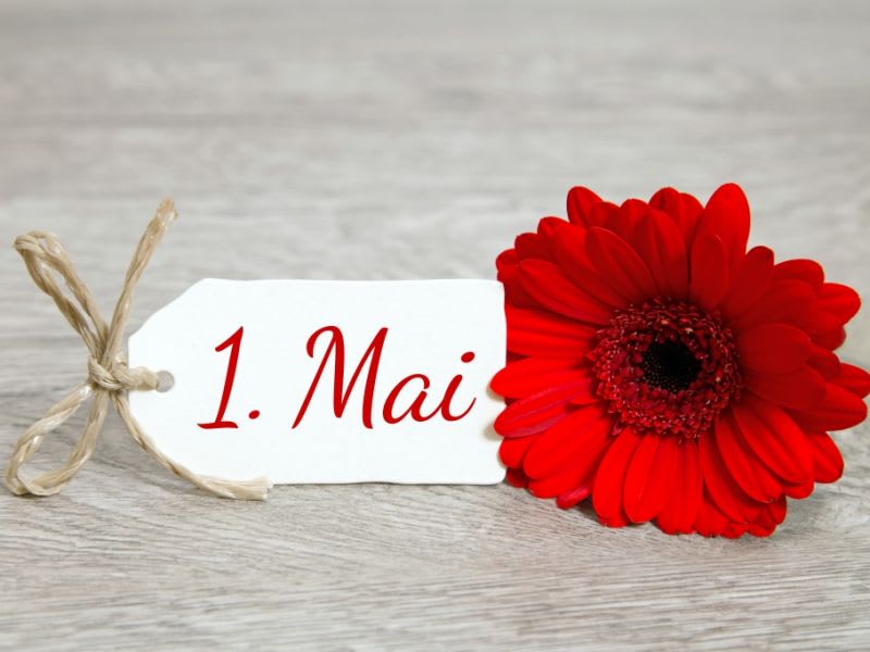 Maifeiertag 2025: Die besten Sprüche zum 1. Mai für WhatsApp und Co.