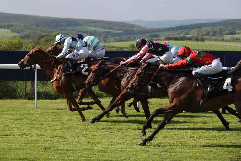 Goodwood poised for season opener - quality fields line up for feature ...