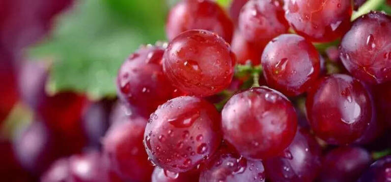 Tiny But Mighty: The Remarkable Health Benefits Of Grape Seeds