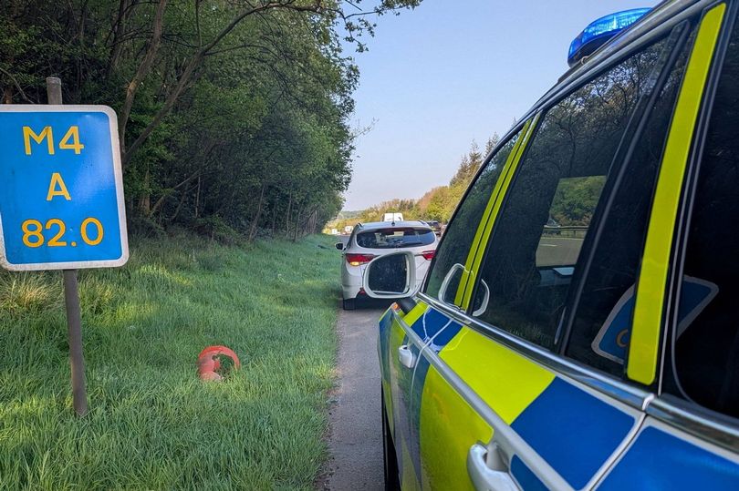 Backlash after police fine driver for having an 'emergency wee' - but ...