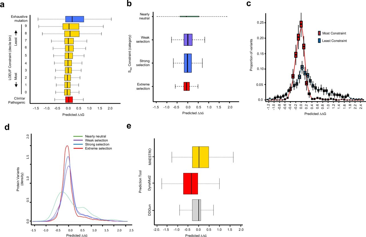 AI uncovers hidden patterns in genes that shape disease vulnerability