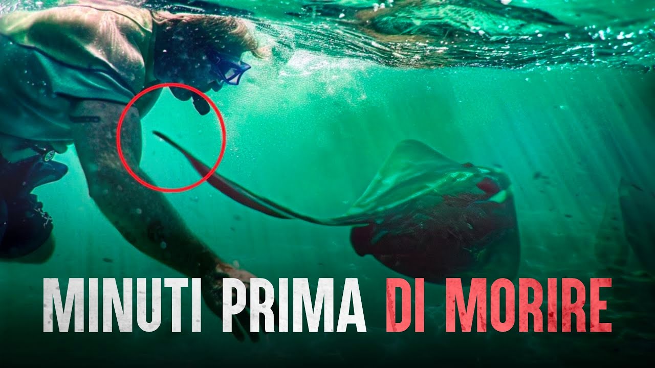 Perché Steve Irwin Non È Sopravvissuto—La Verità sulla Sua Morte