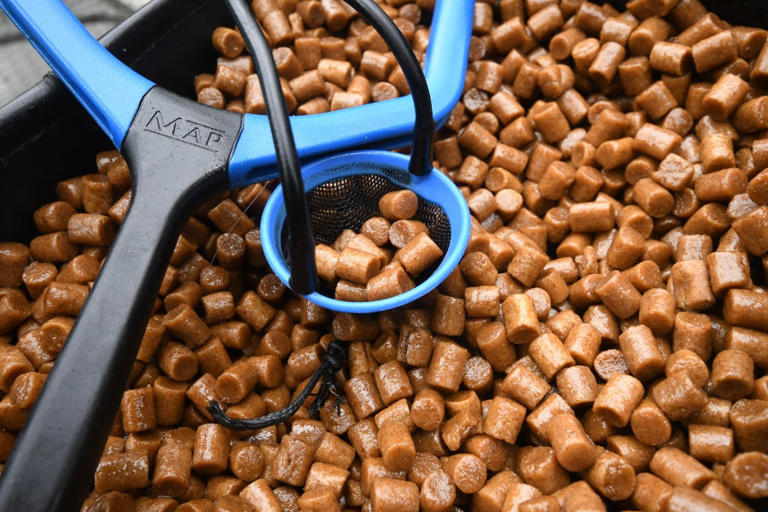 Improve your pellet waggler fishing | Rig and tactics guide