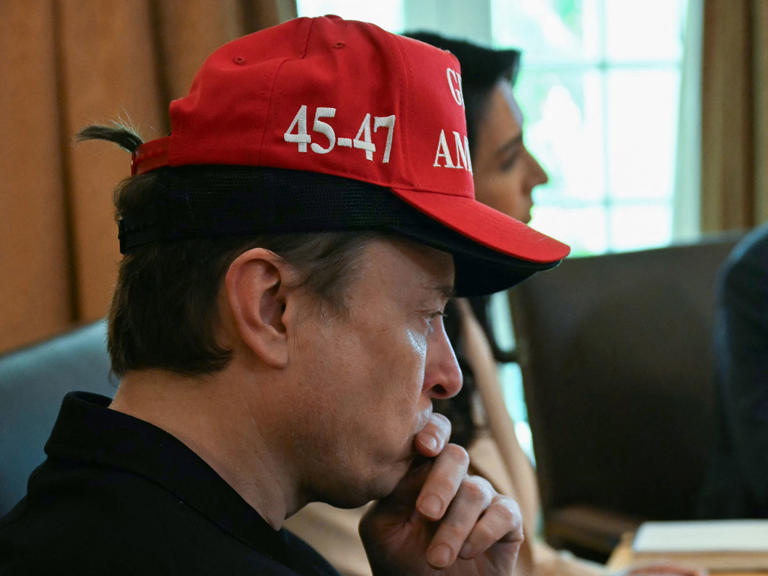 Elon Musk May Be Leaving Government, But Democrats Aren’t Done With Him