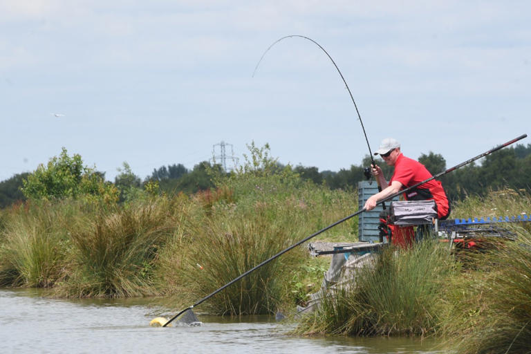 Improve your pellet waggler fishing | Rig and tactics guide