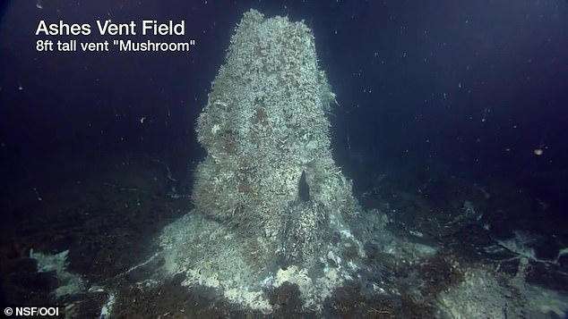 Huge underwater volcano just off major US coast is set up erupt 'any ...