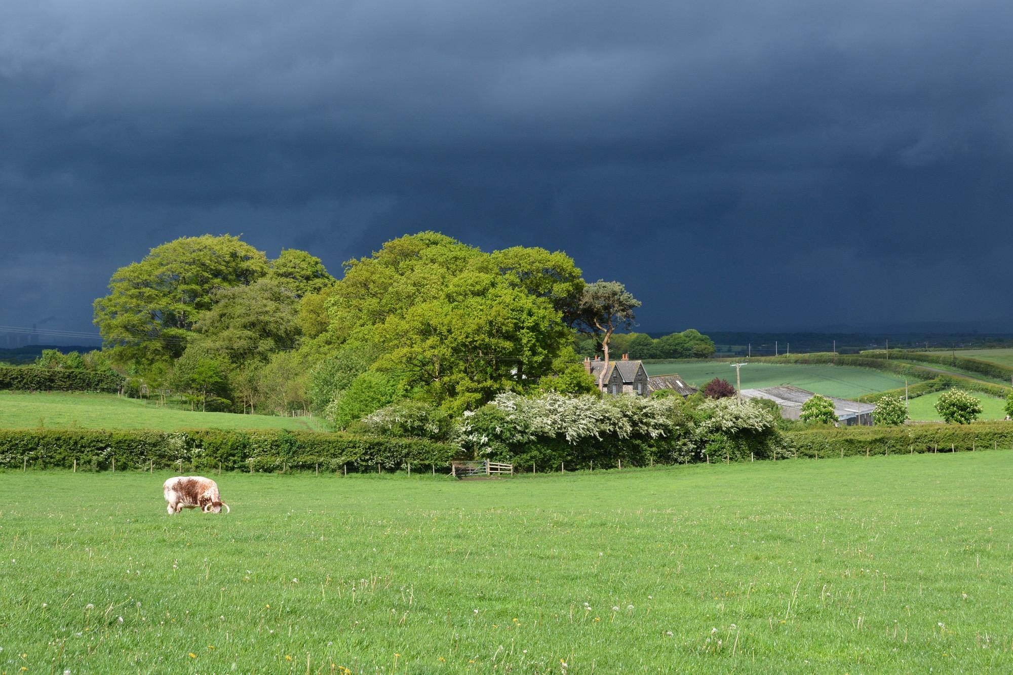 Climate report highlights need for flooding investment plan