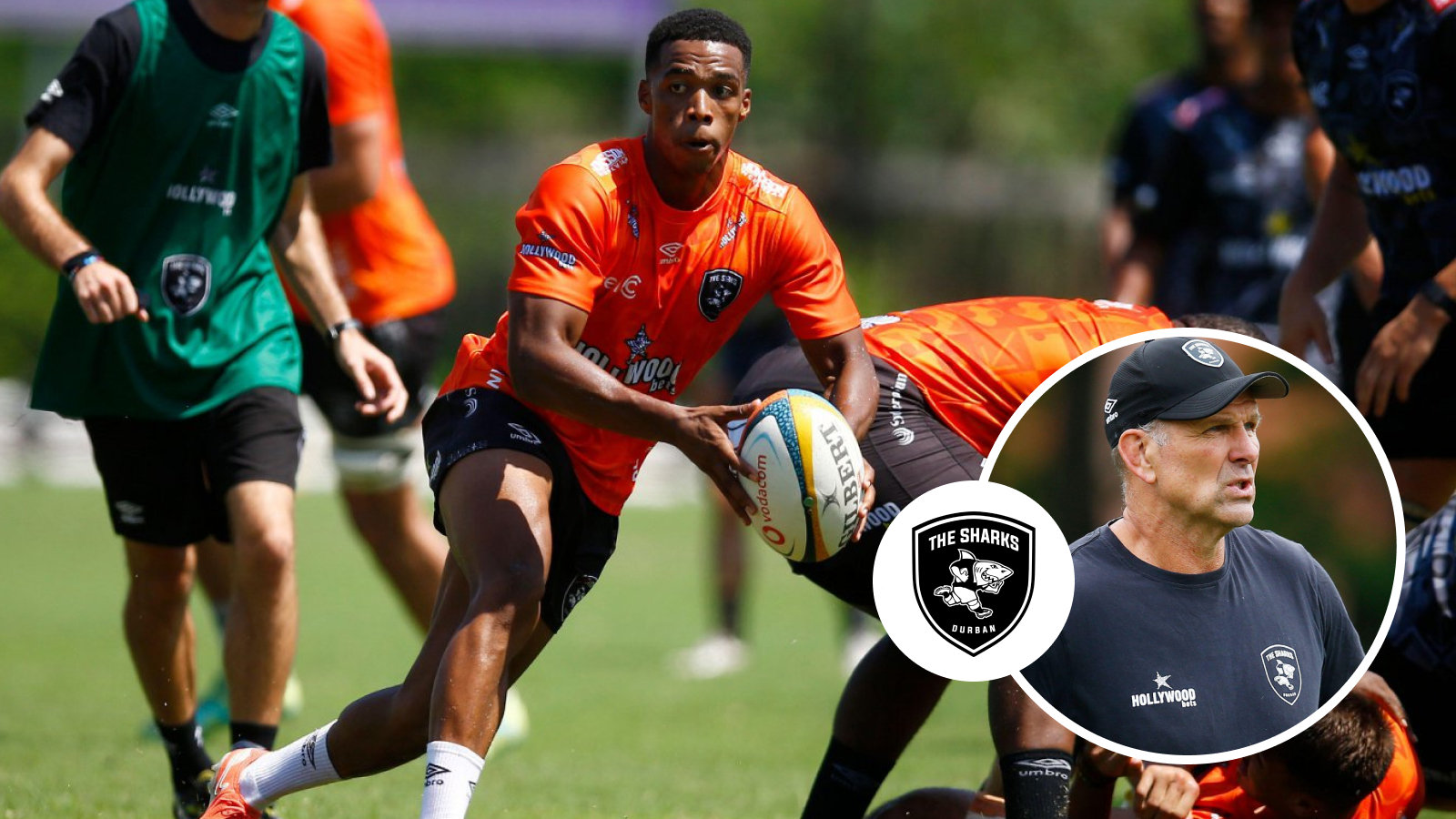 Springboks star ruled out due to recurring injury as Sharks provide ...