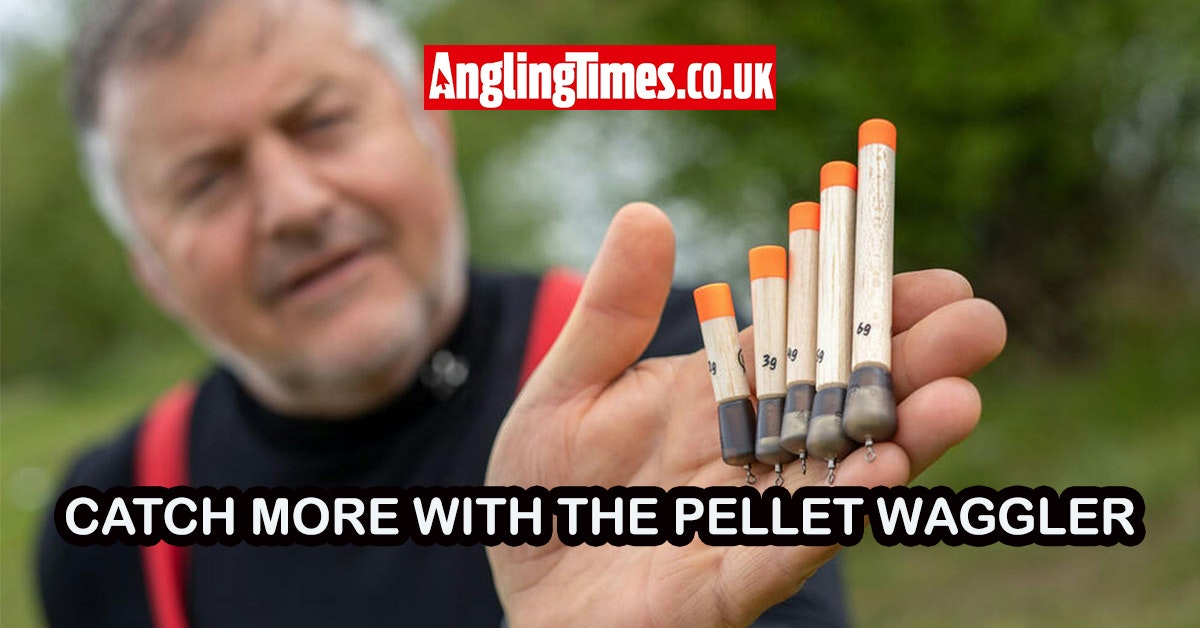 Improve your pellet waggler fishing | Rig and tactics guide