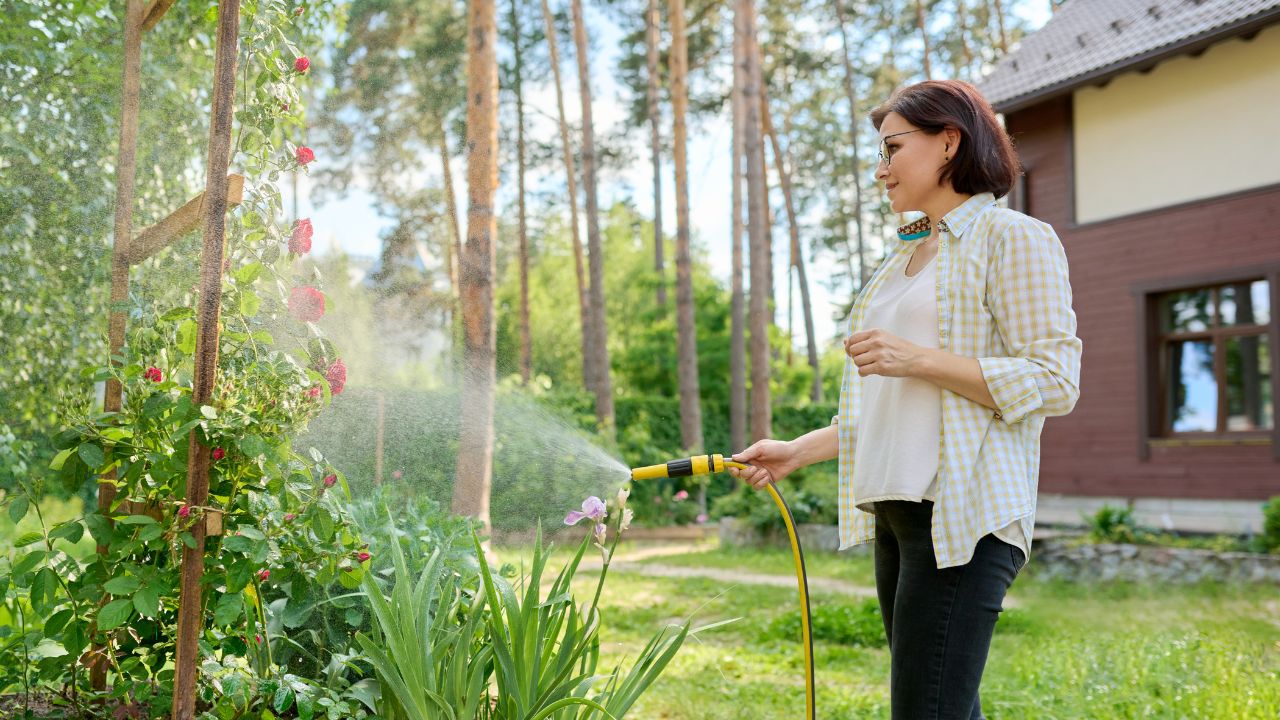 The Mindful Gardener’s Guide to Thriving in a Drier Season