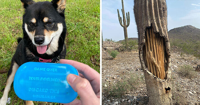 46 Times Things Got “Opened” And People Saw Interesting Things Inside ...