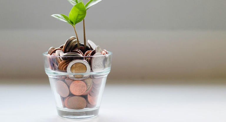 Small Savings Schemes Vs Bank FDs: These investments help investors ...