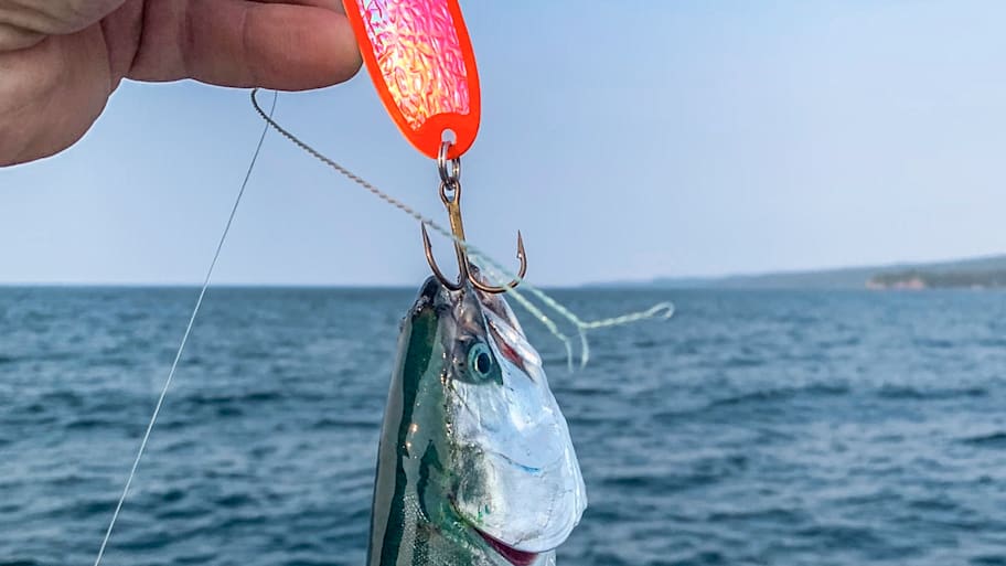 How to Prevent and Fix Fishing Line Twist Like a Pro