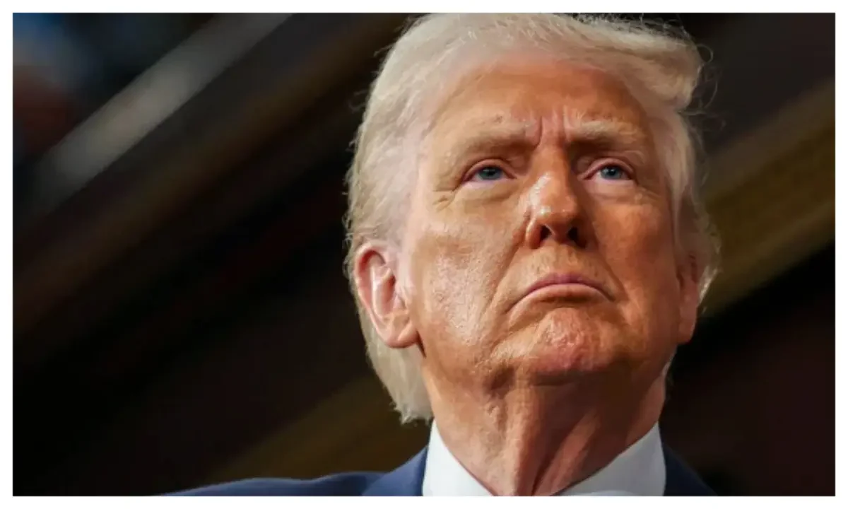 You’re everything founding fathers worried about in constitution – US ...