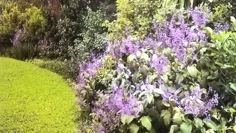 The rewards of planting indigenous gardens