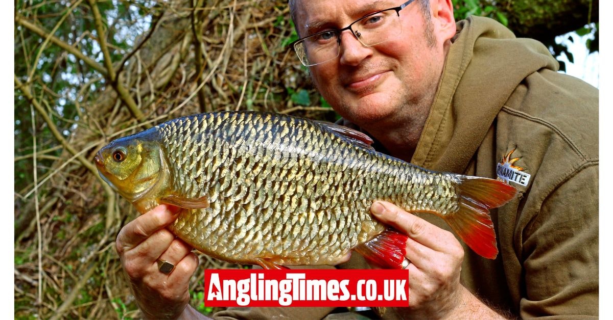 Unusual bait choice results in massive rudd capture